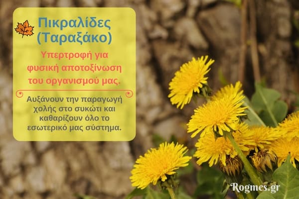 Οι 16 Καλύτερες Τροφές Για Φυσική Αποτοξίνωση Του Οργανισμού