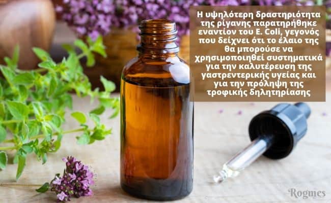 Τι Θα Συμβεί Στο Σώμα Σας Αν Τρώτε Ρίγανη (Ριγανέλαιο & Τσάι)!