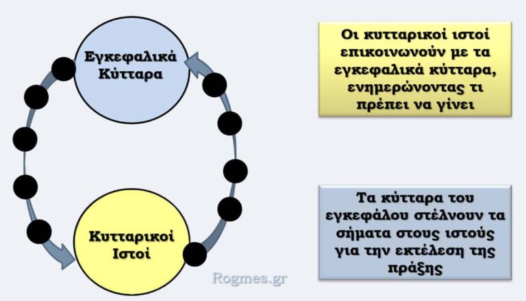 1 Βιταμίνη Για Νευρικό Σύστημα, Βλάβες Των Νεύρων & Νευροπάθεια!