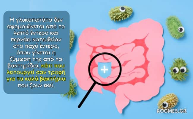 Τι Θα Συμβεί Στο Σώμα Αν Τρώτε ½ Γλυκοπατάτα για 15 Ημέρες